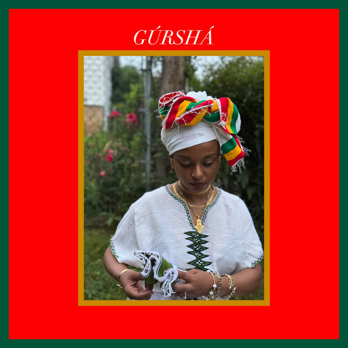 MITU – G Ú RSHÁ ALBUM REVIEW – Musicians: Take Note!